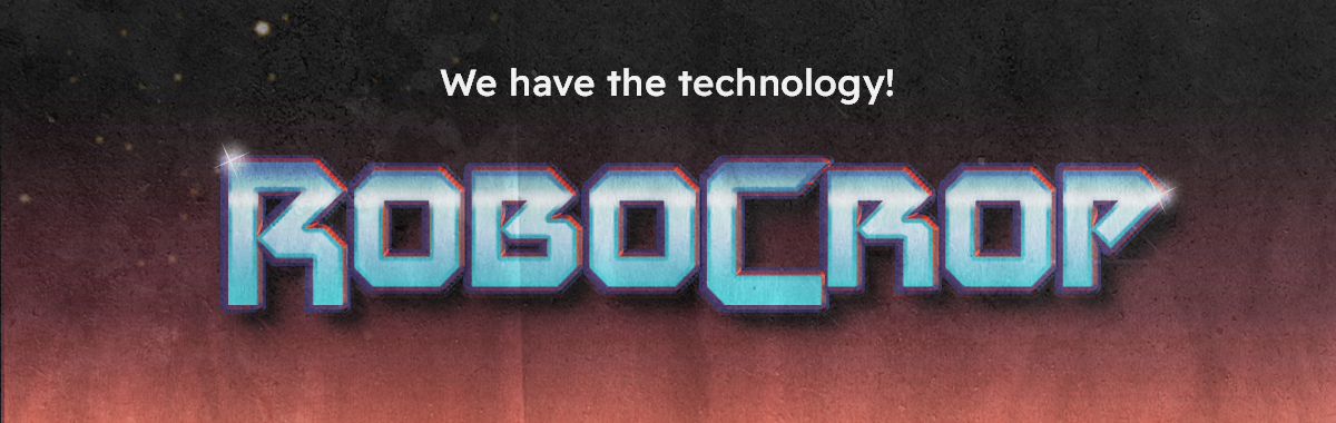 Wilco: Never Stop Developing